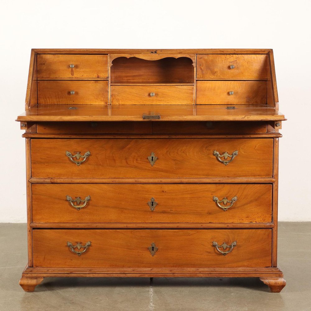 English Shaped Flap Cabinet in Mahognay & Walnut, 1800s for sale at Pamono