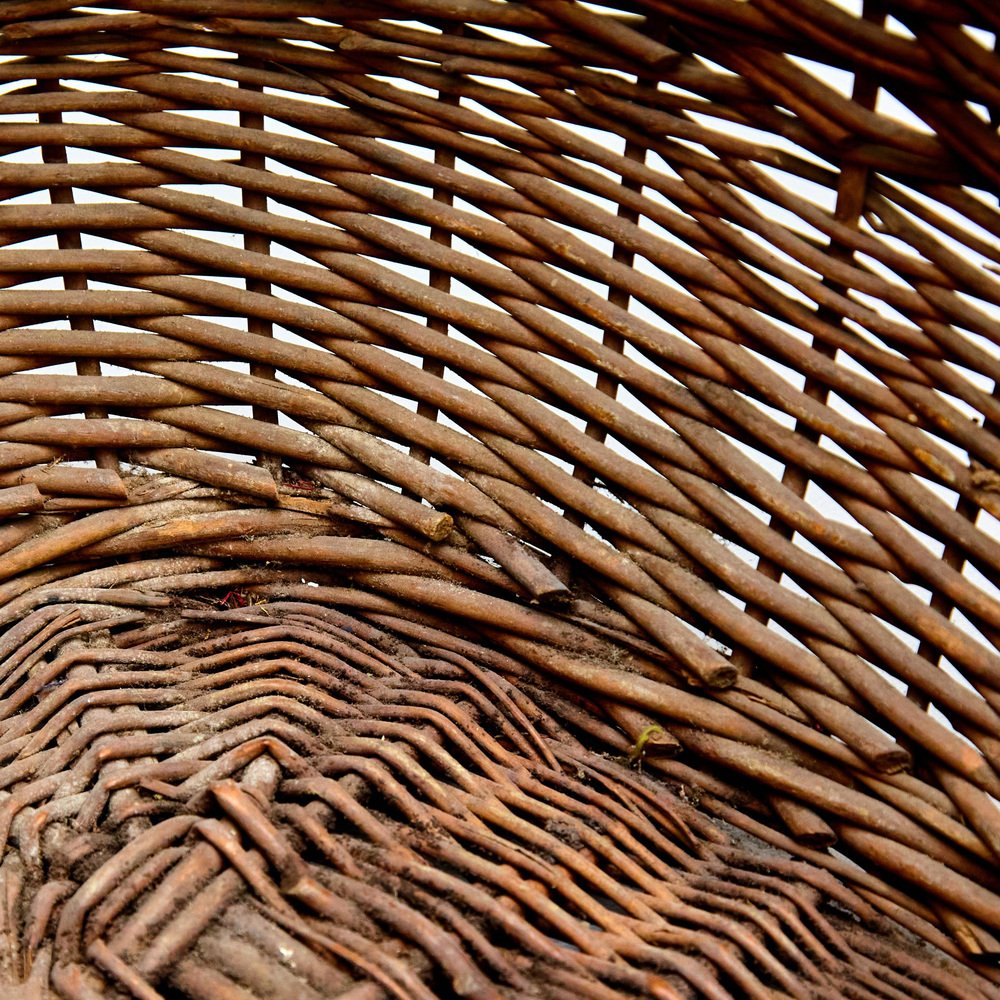 Mid-Century Modern Rattan Rustic Basket, 1960s for sale at Pamono
