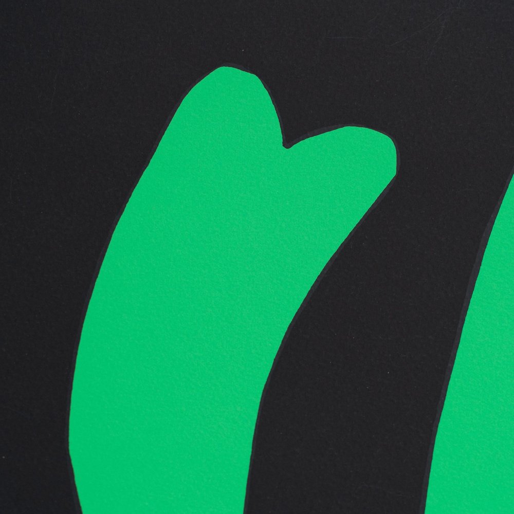 Henri Matisse, Fern Cut Out in Black and Green, Mid-20th Century ...