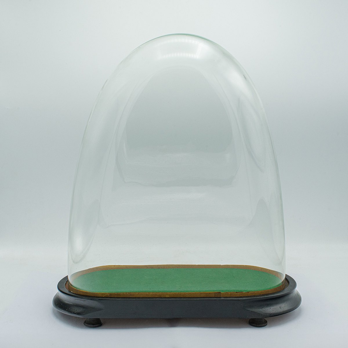 Antique English Taxidermy Display Showcase for sale at Pamono