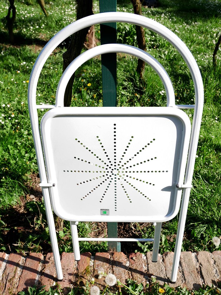 Set of Model Etoile Folding Chairs by Anna Anselmi for Bieffeplast ...