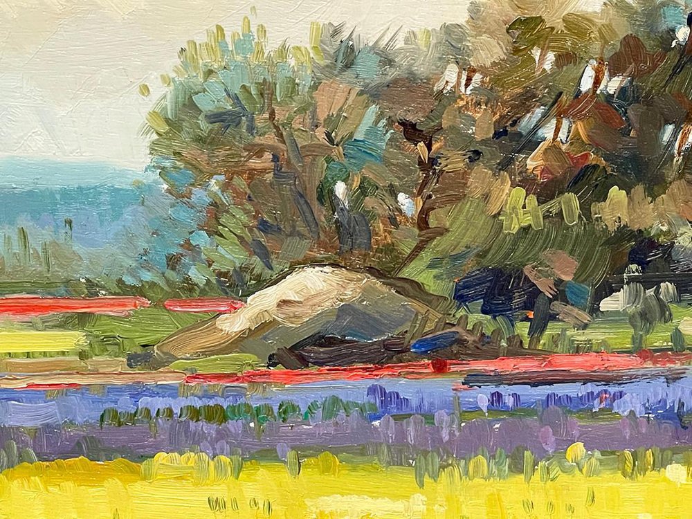 Hans De Jong, Flower Fields, Oil on Panel, Framed for sale at Pamono