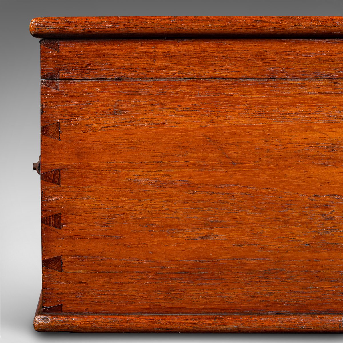 Large English Walnut Storage Chest for sale at Pamono