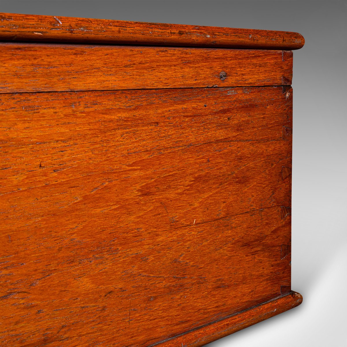 Large English Walnut Storage Chest for sale at Pamono