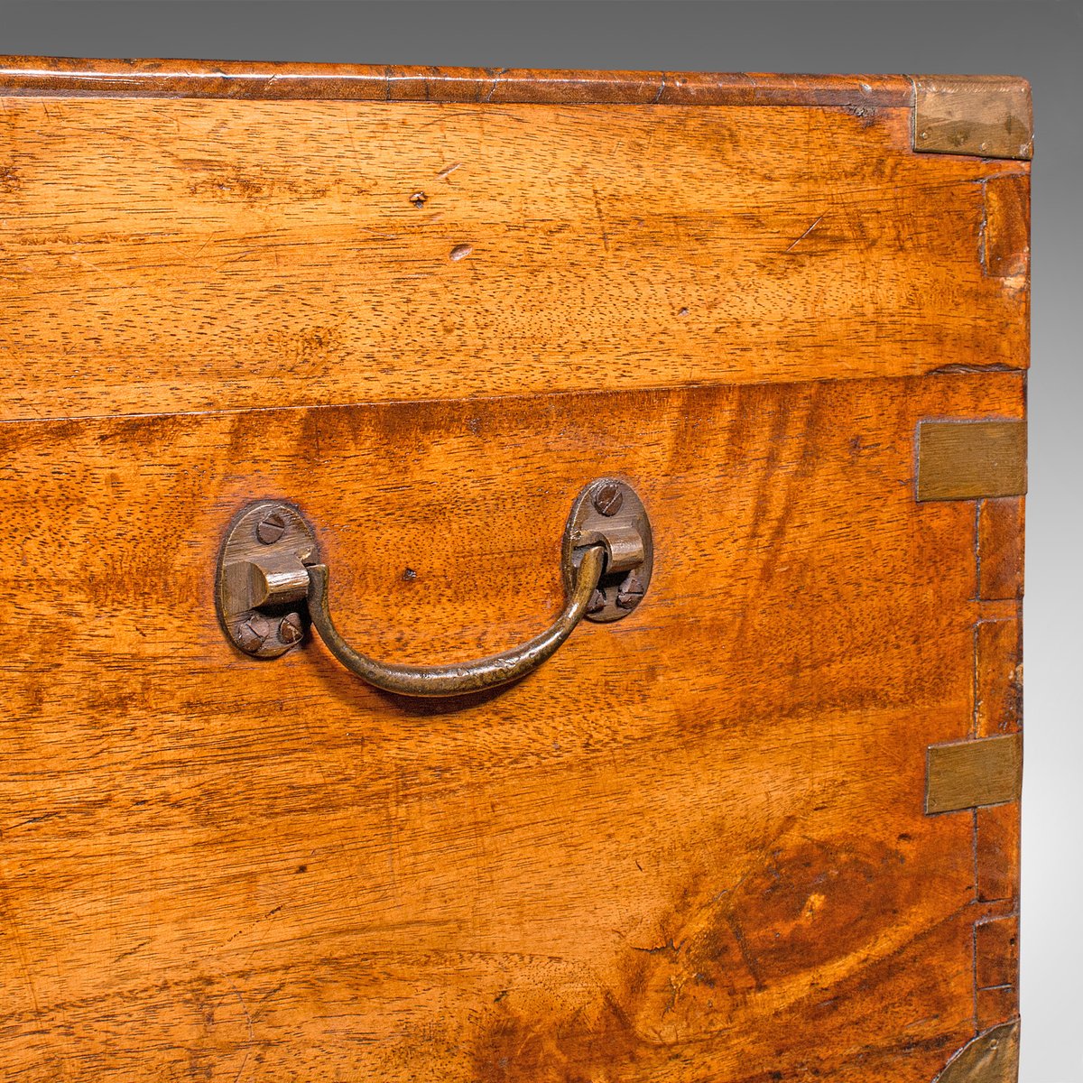 Antique English Victorian Camphor Wood Military Trunk, 1890s for sale ...