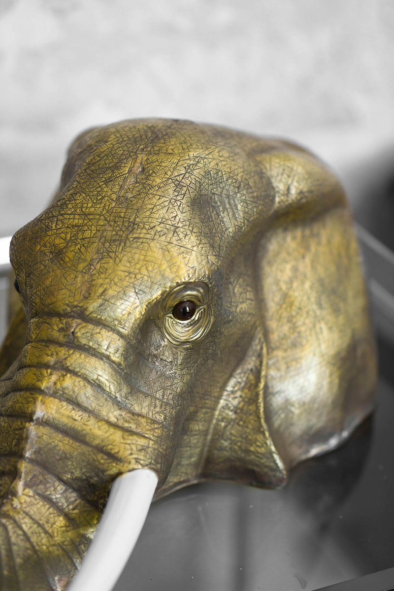 Elephant Head in Brass for sale at Pamono