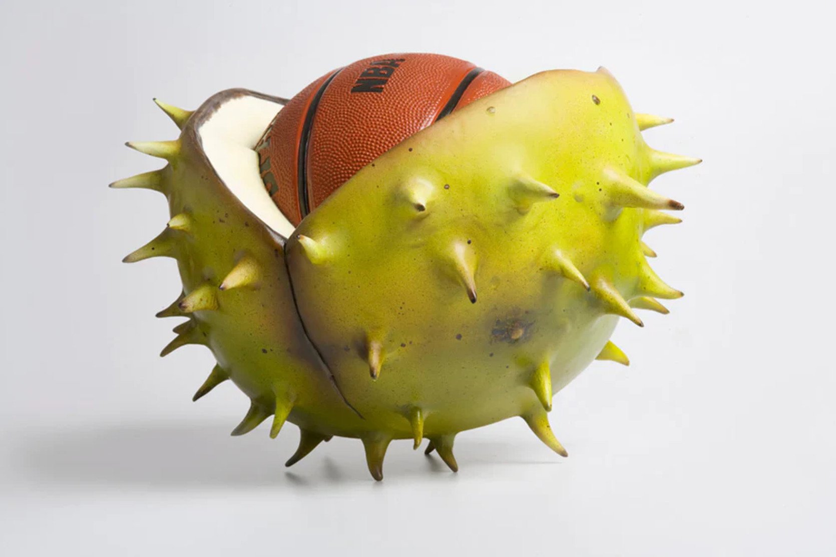 Divide and Conker Sculpture by Simon Shepherd, 2023 for sale at Pamono