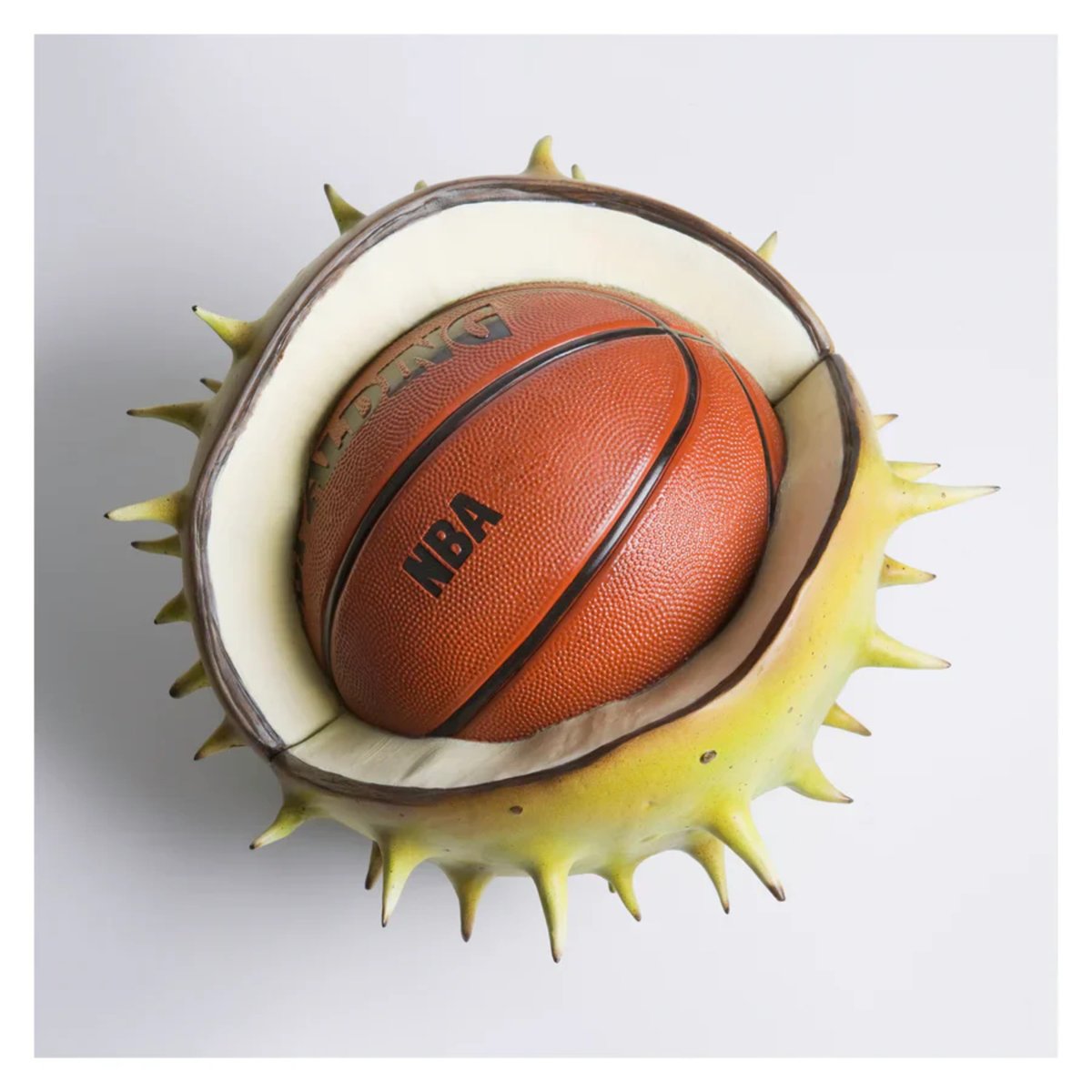 Divide and Conker Sculpture by Simon Shepherd, 2023 for sale at Pamono