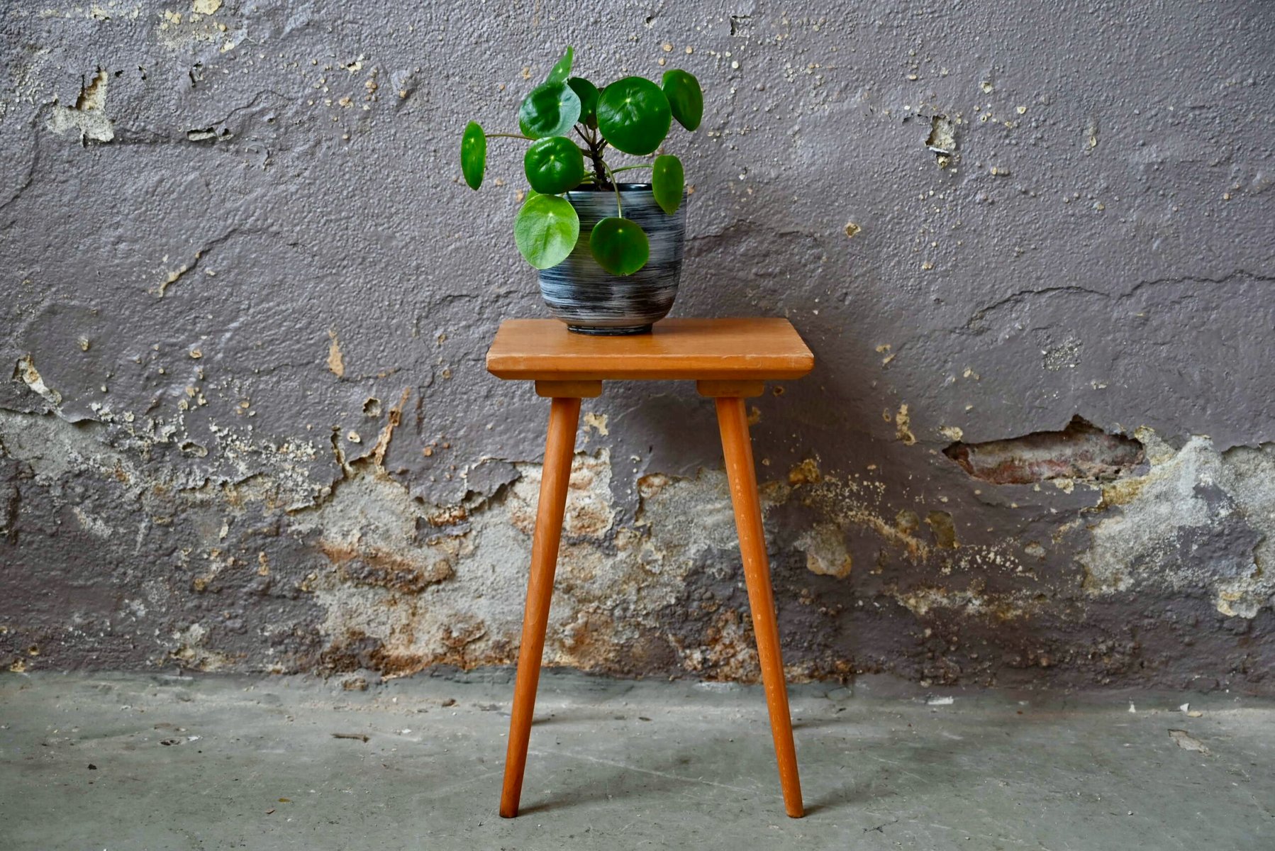 Wood Plant Stand, 1950s for sale at Pamono