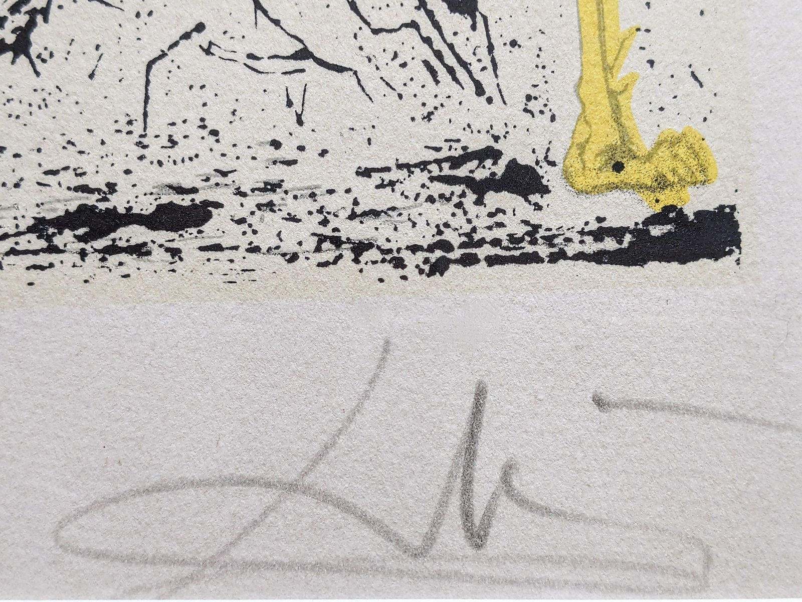 Salvador Dali, Hidalgo's Metamorphosis, Hand-Signed Original Lithograph ...