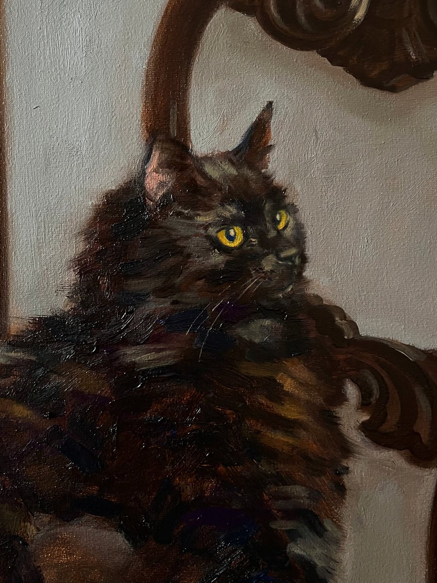 Cat Portrait, 2000s, Oil on Canvas for sale at Pamono