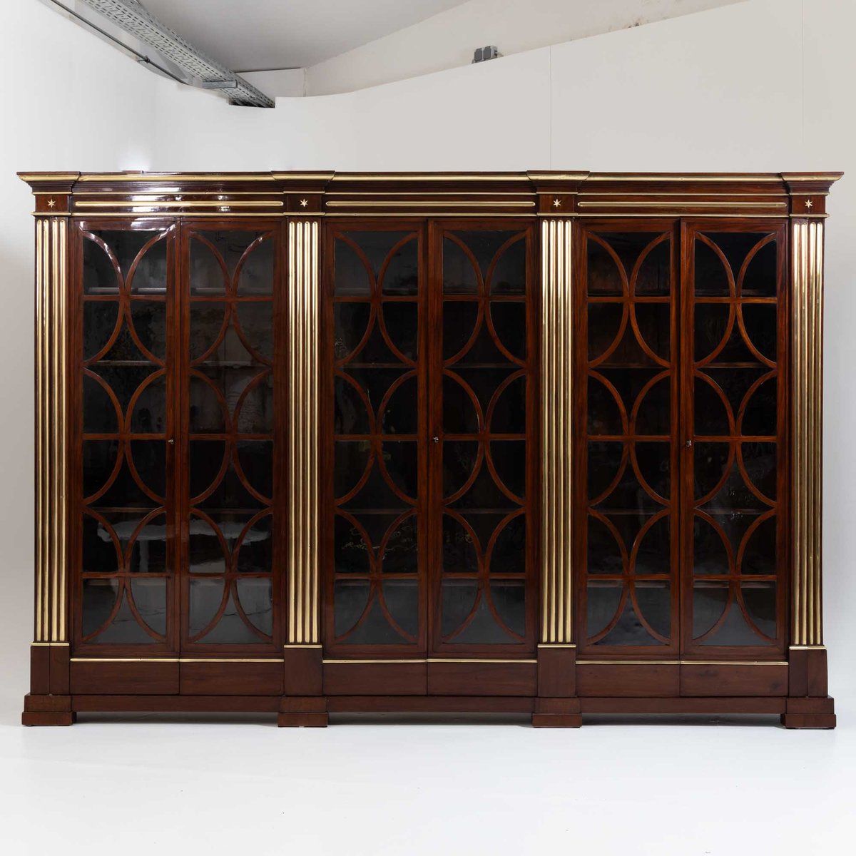 Large German Library Cabinet with Brass Fluting, 1800s for sale at Pamono