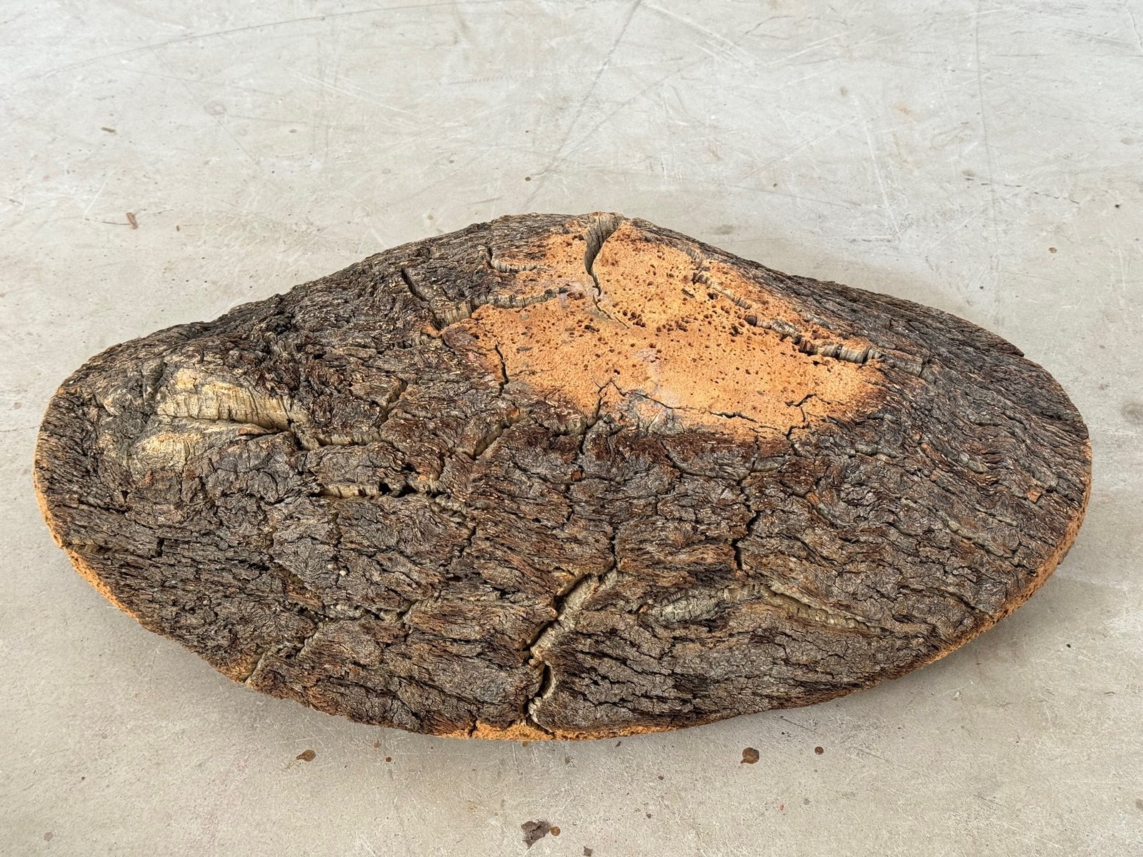 Traditional Cork Dish, 1960s for sale at Pamono