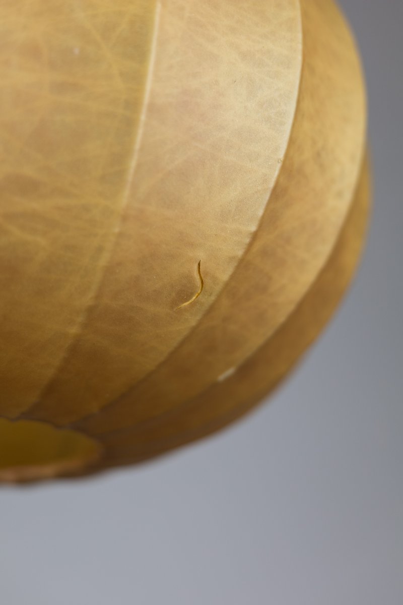 Small Mid-Century Italian Modern Cocoon Resin Lamp for sale at Pamono