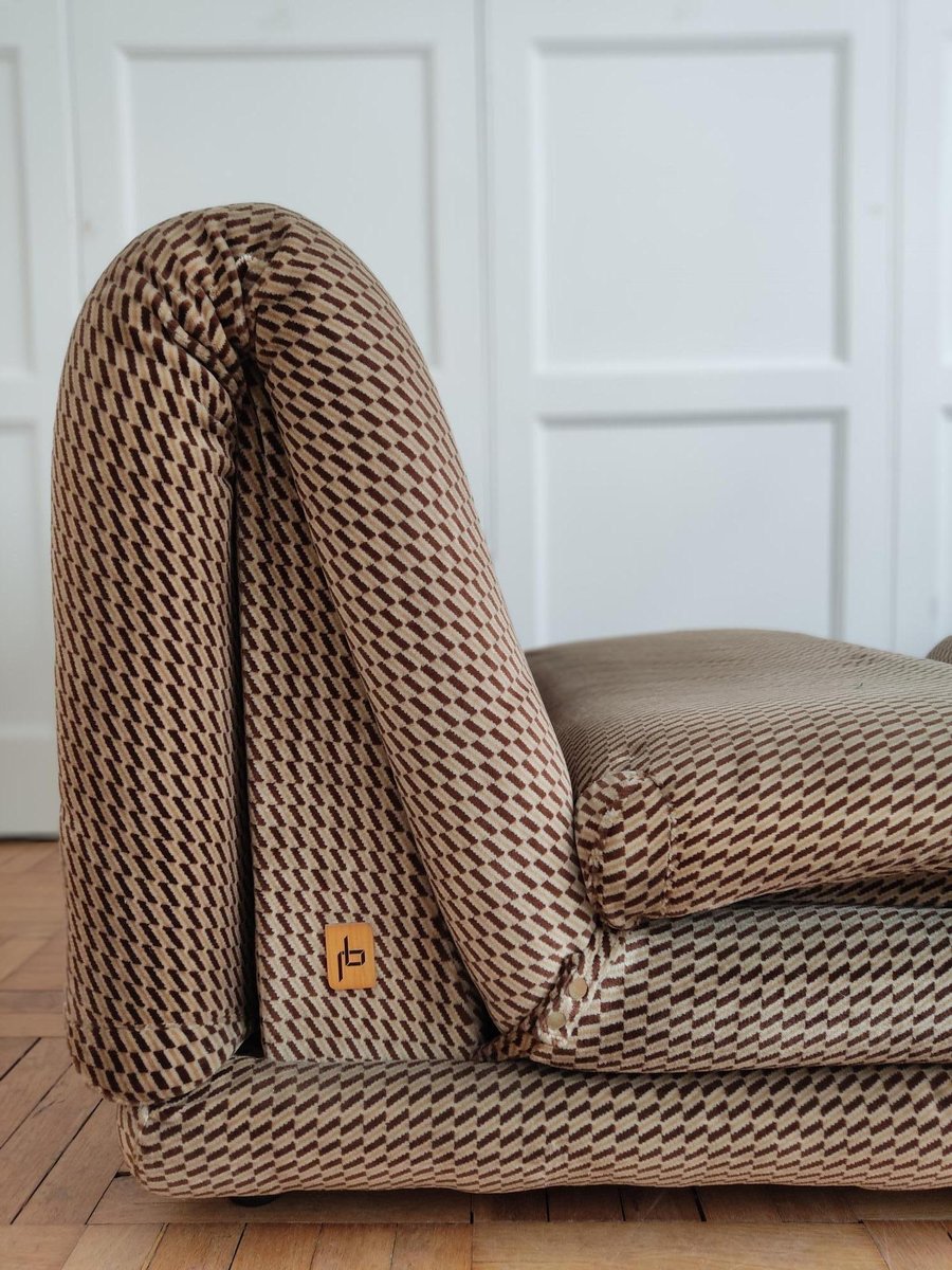 Vintage Italian Salotti Chairs, 1970s, Set of 2 for sale at Pamono