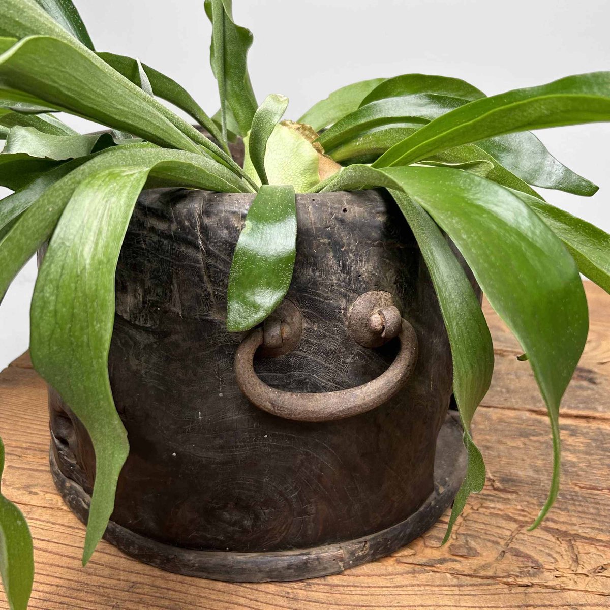 Antique Japanese Hibachi / Fire Pot for sale at Pamono