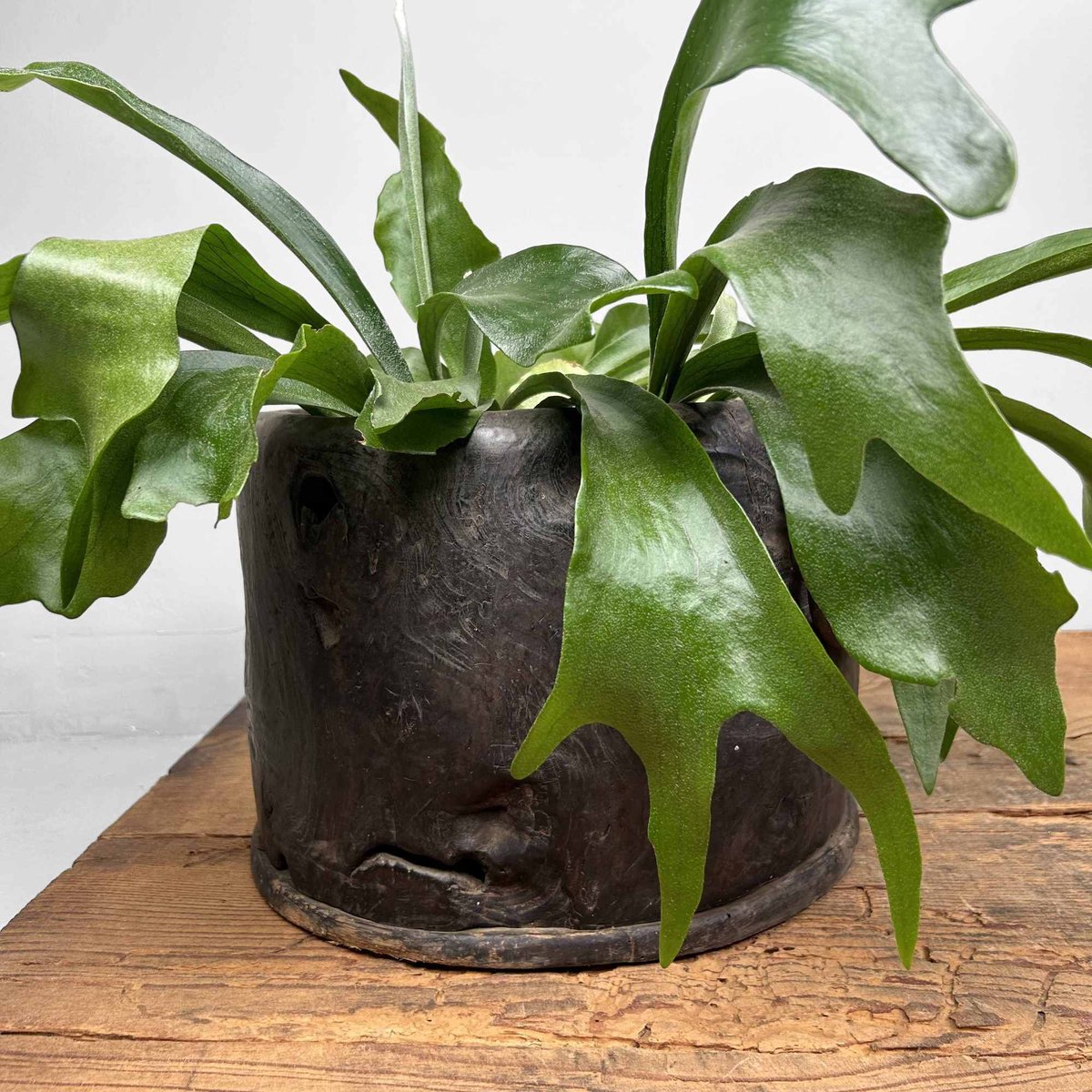 Antique Japanese Hibachi / Fire Pot for sale at Pamono