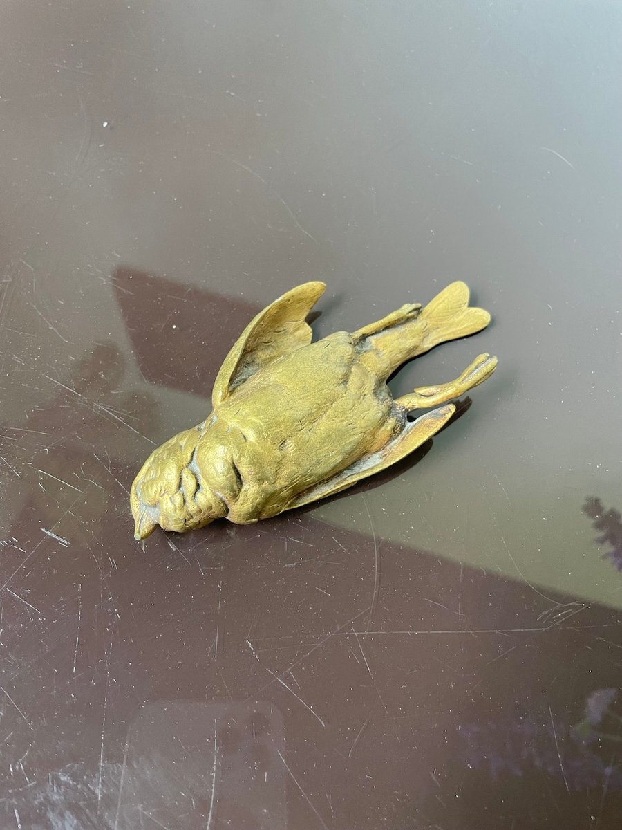 Bird Paperweight in Bronze by P.Comolera, 1890s for sale at Pamono