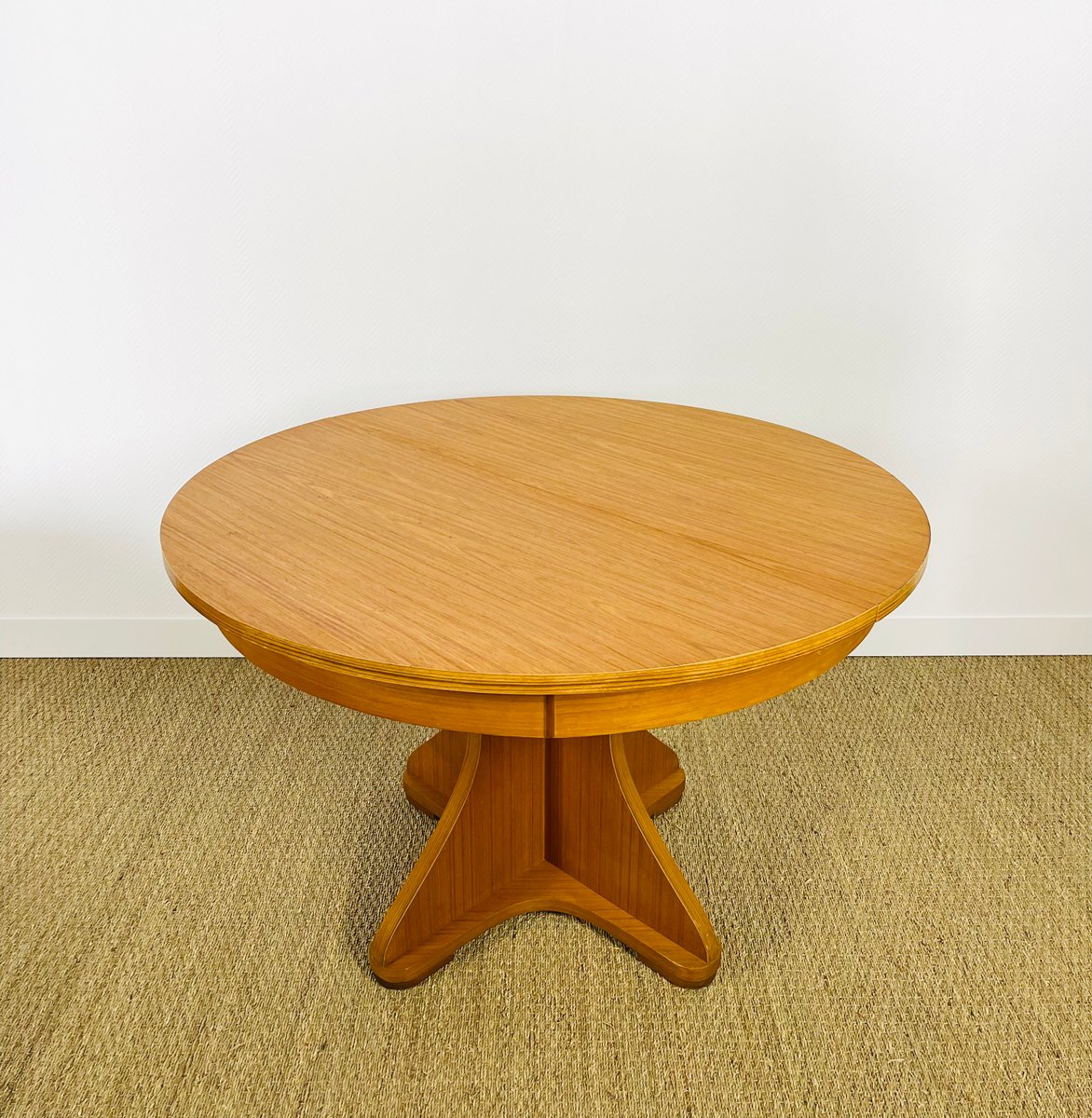 Vintage Scandinavian Round Teak Dining Table with Extensions, 1960s for ...