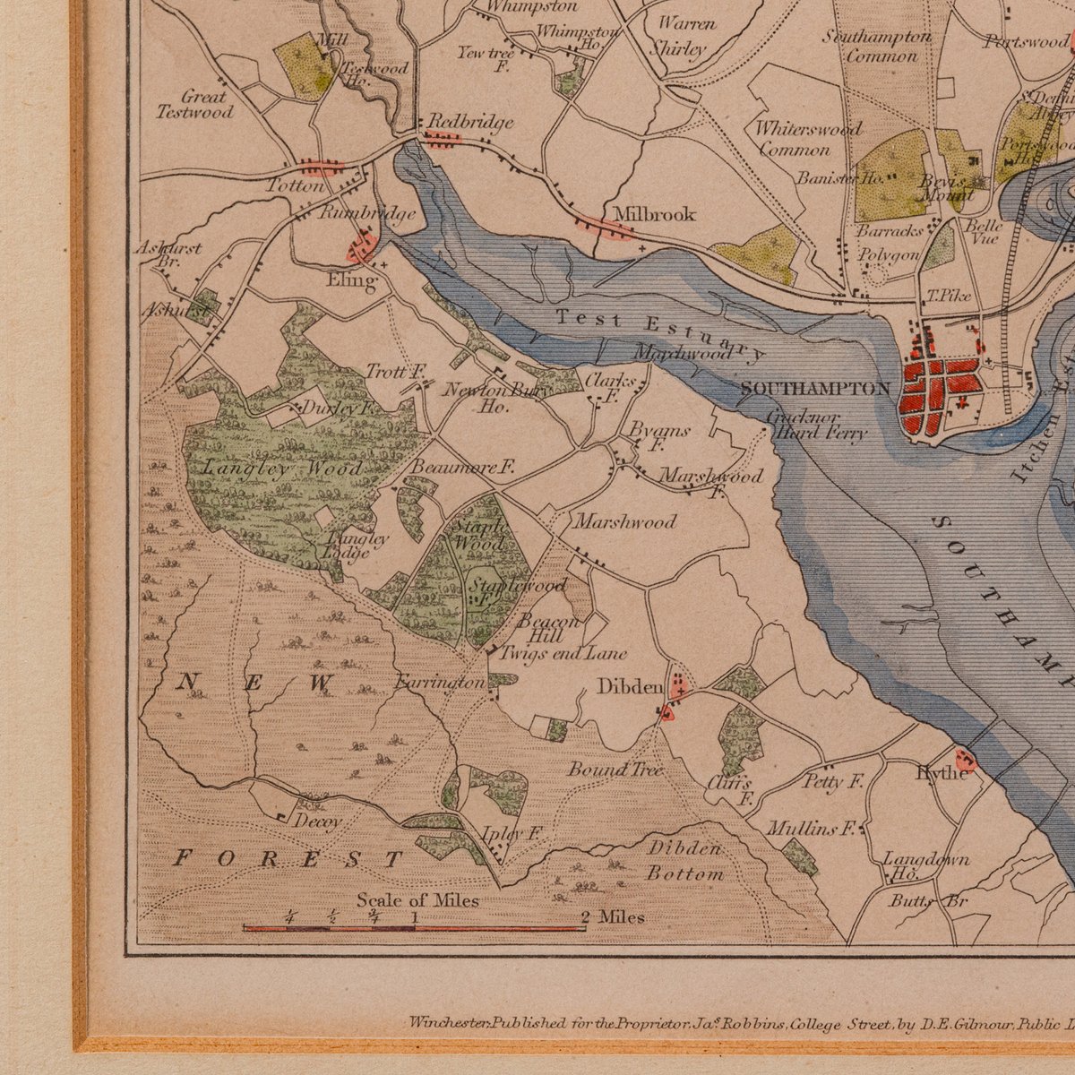 Victorian Lithographic Map with Environs of Southampton, England for ...