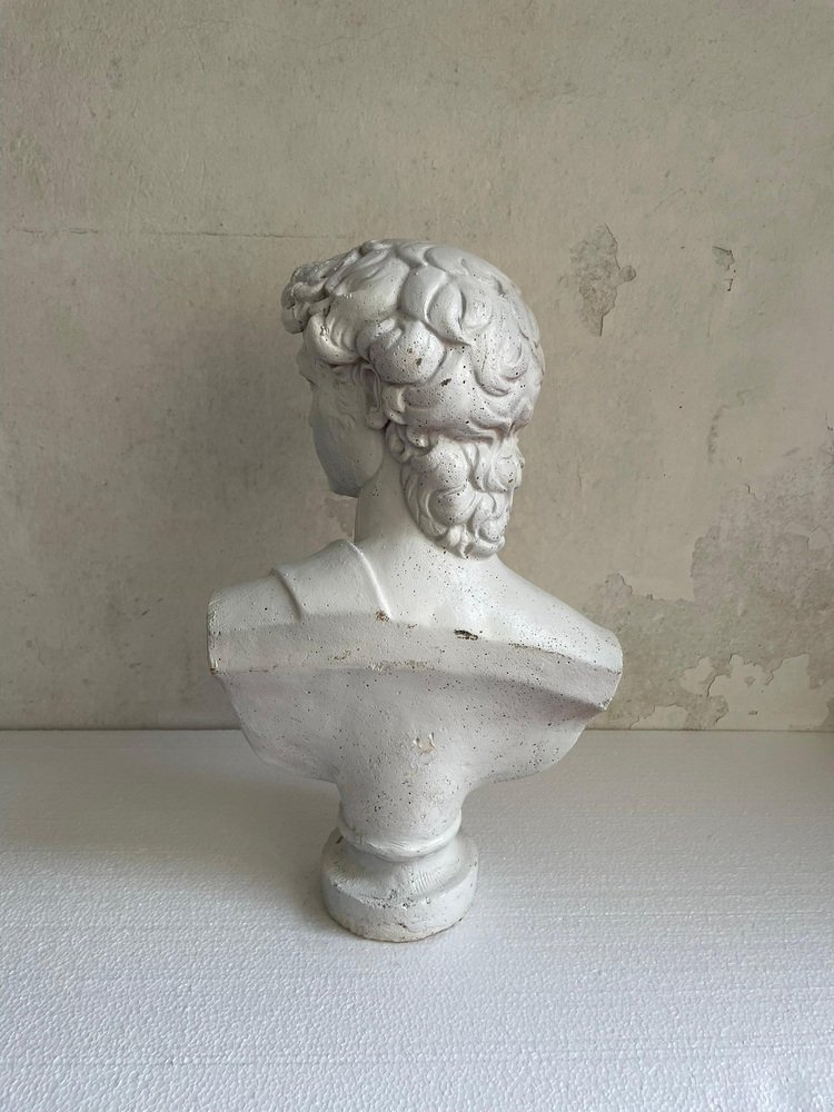 David by Michelangelo Plaster Bust for sale at Pamono