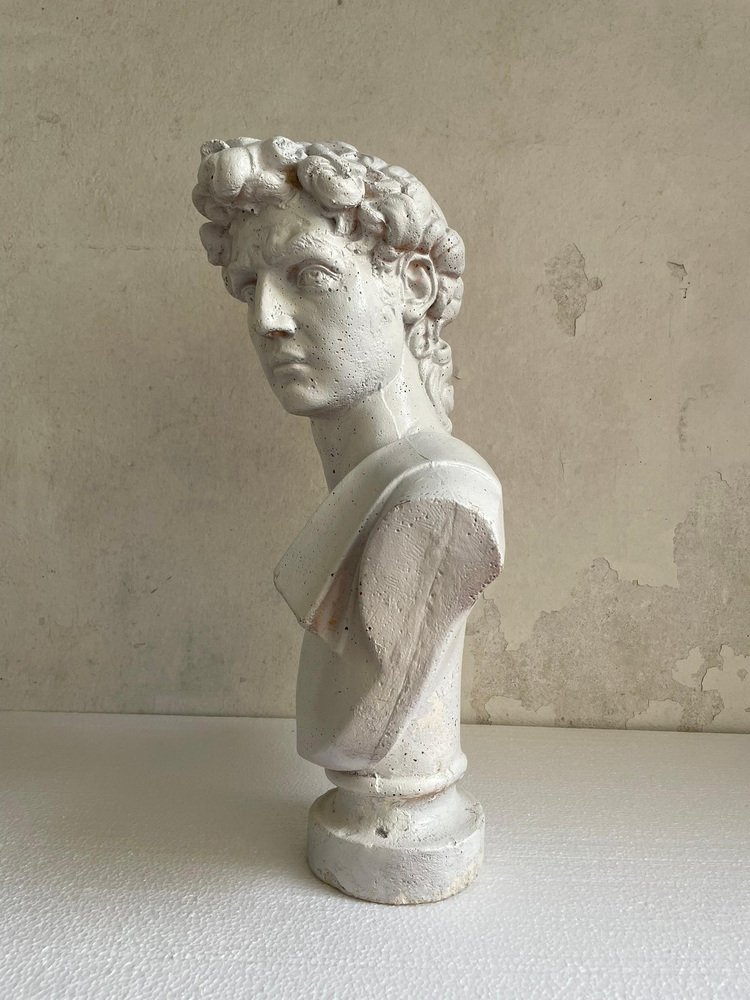 David by Michelangelo Plaster Bust for sale at Pamono