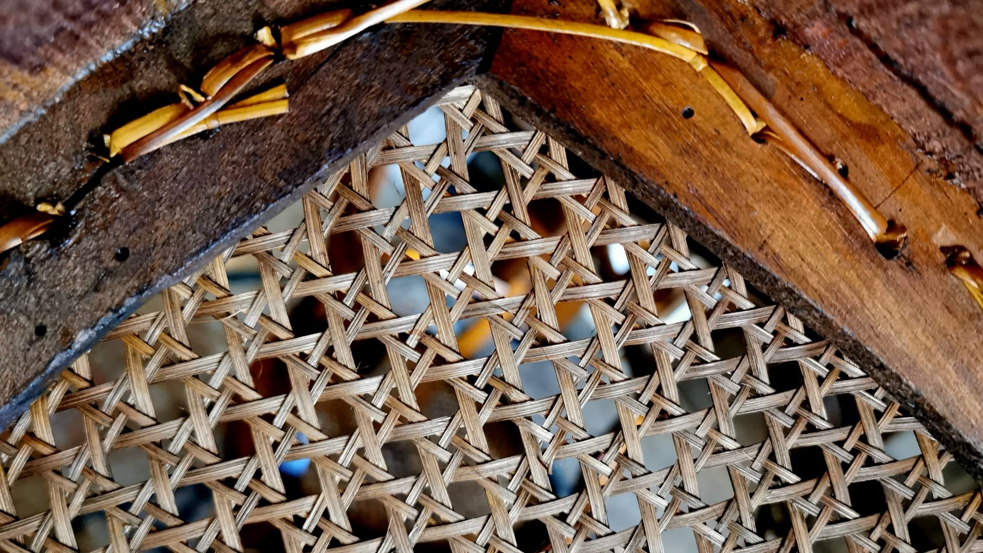 Italian Empire Style Chairs King with Vienna Straw, 1870, Set of 2 for ...