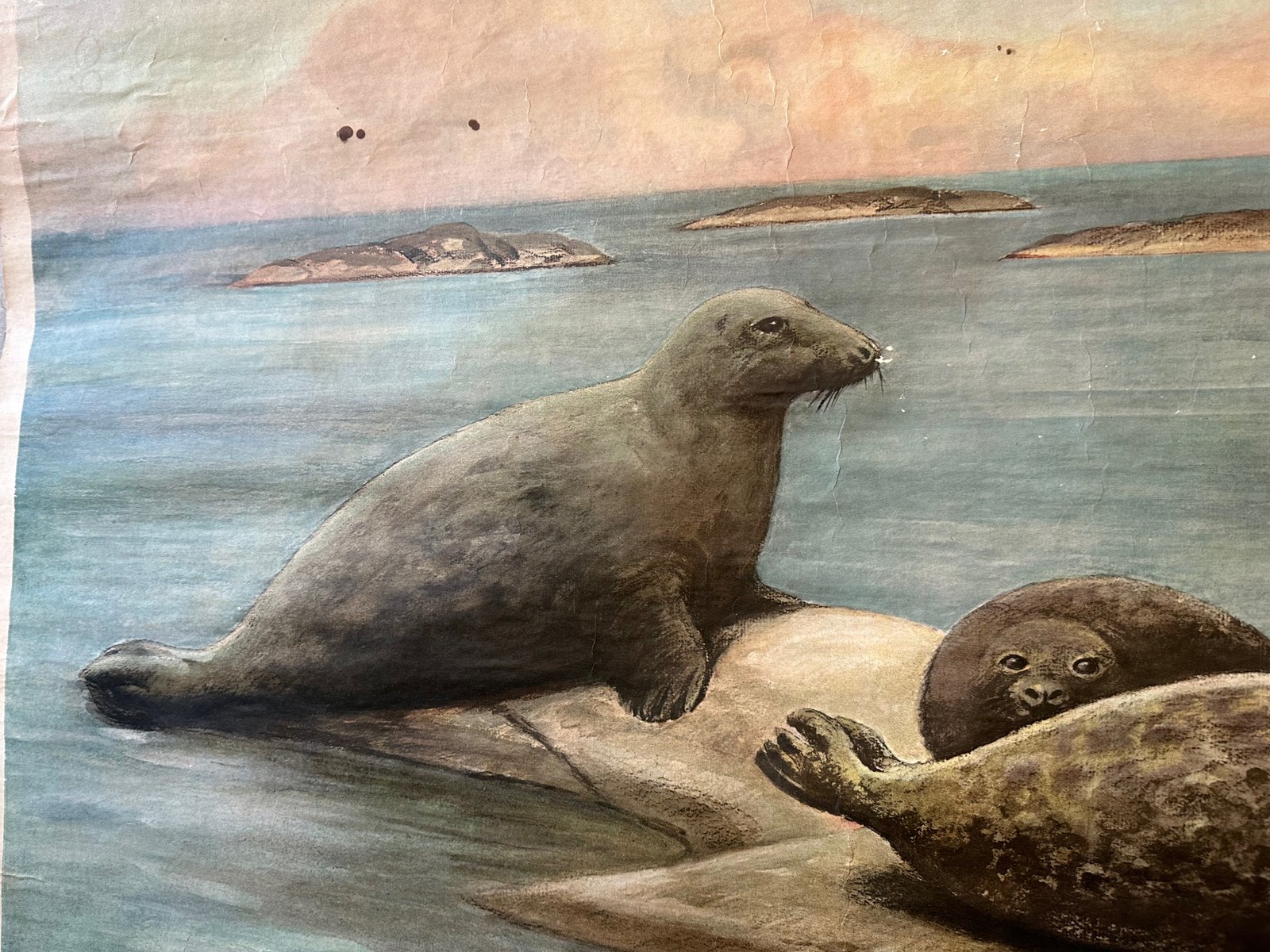 Vintage Linen School Card Seals for sale at Pamono