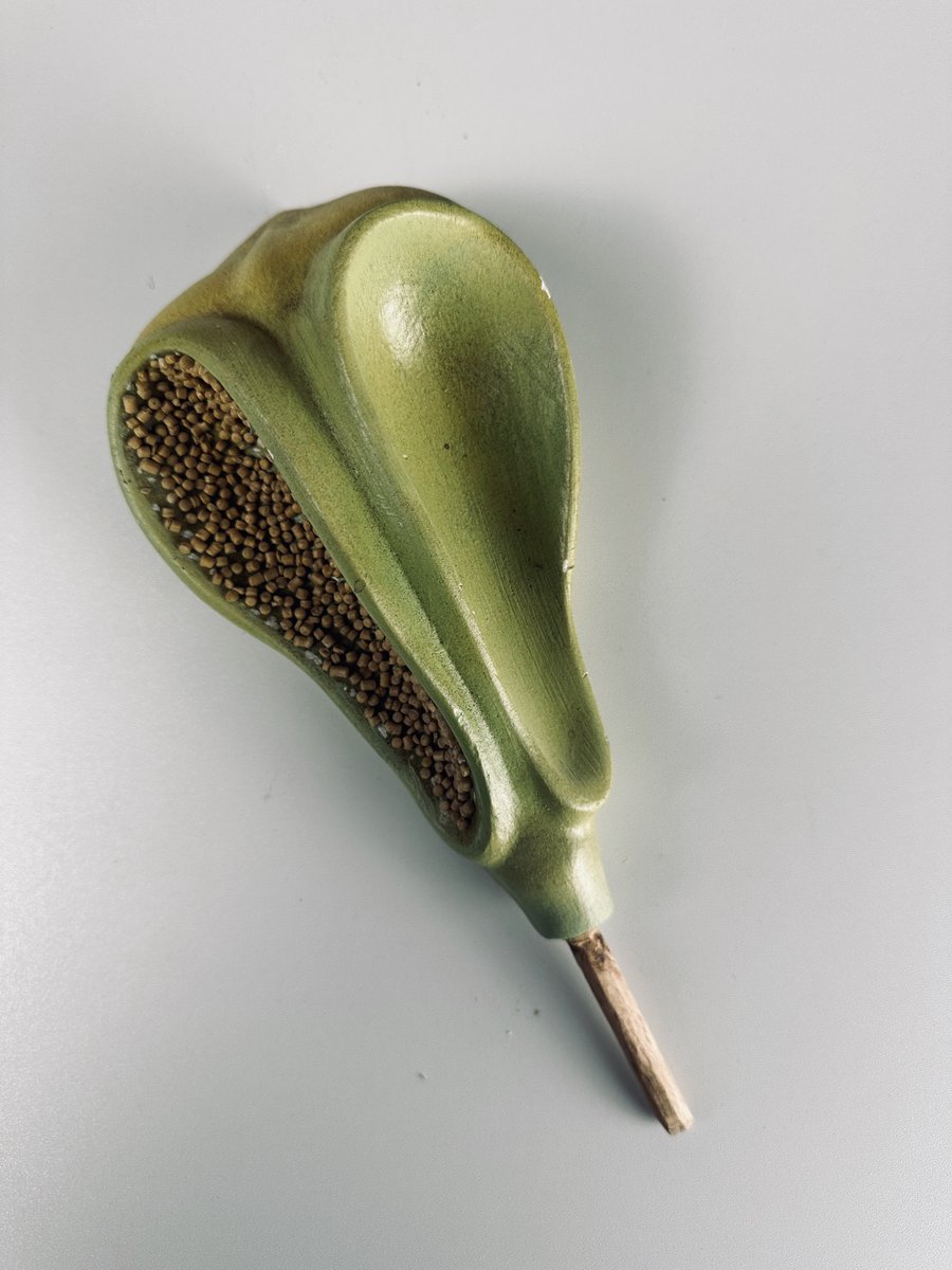 Botanical Model by Brendel for sale at Pamono