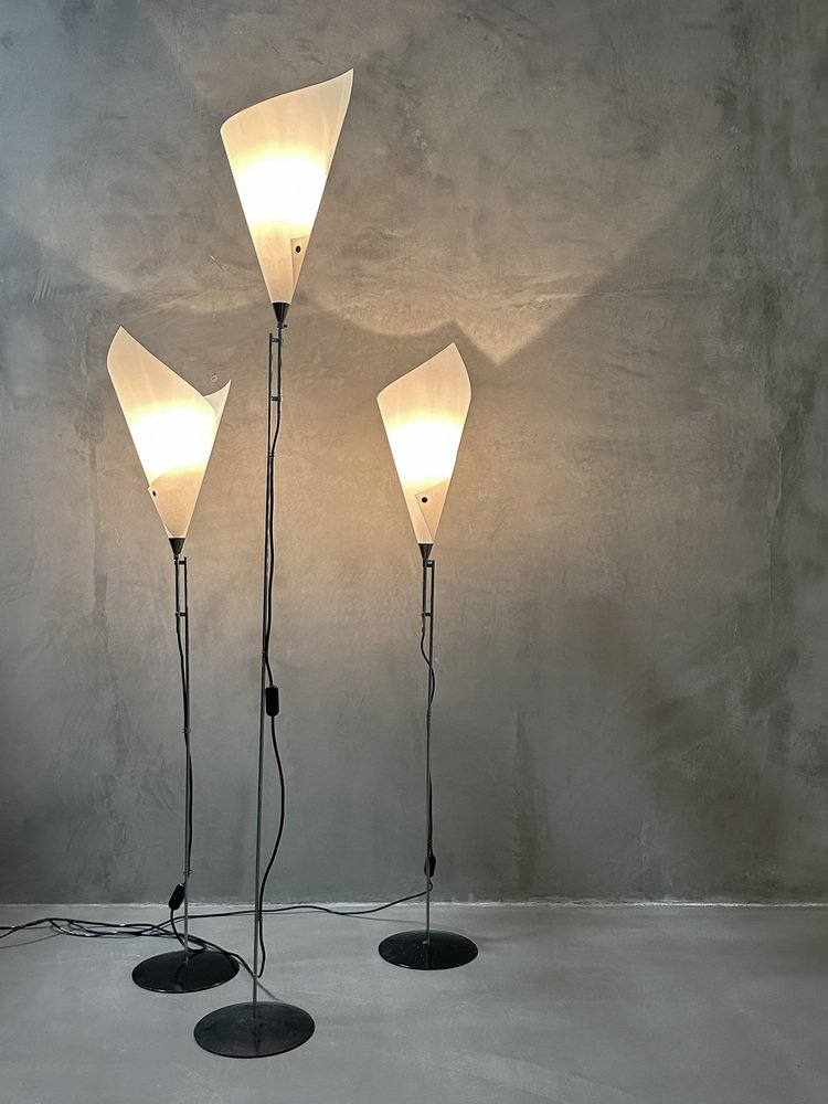 Calla Floor Lamps by Marcello Cuneo for Valenti, Italy, 1975, Set of 3 ...