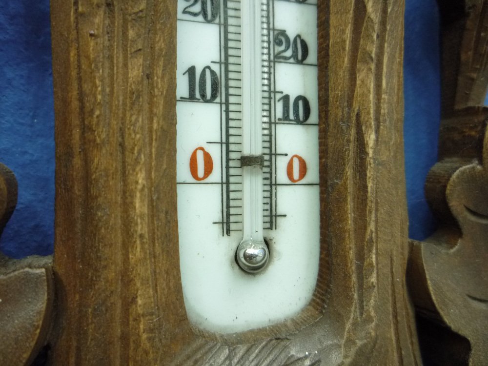 Antique Weather Station, 1920s for sale at Pamono