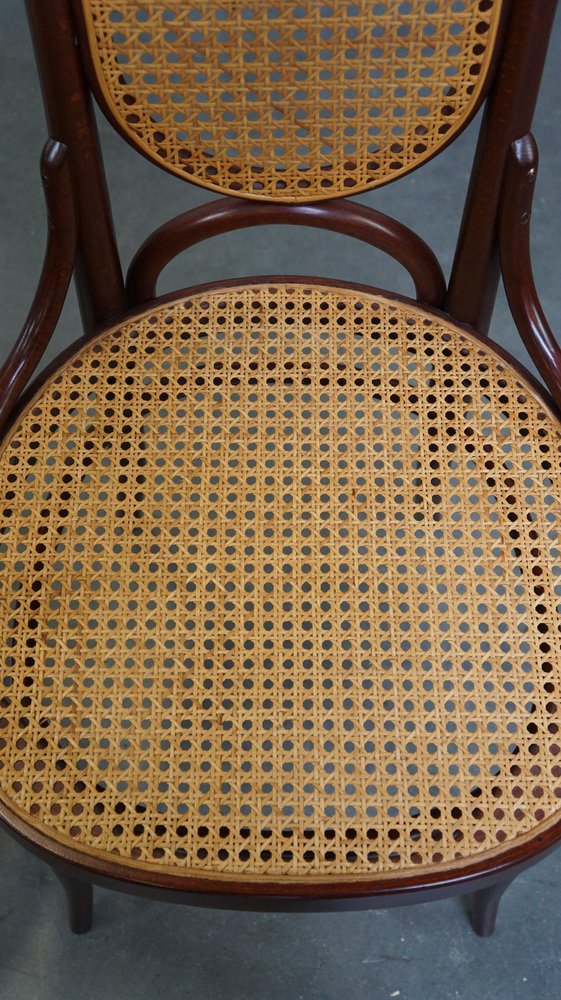 Vintage High Dark Brown Bentwood Chairs Model Lange Jan-Long John from ...