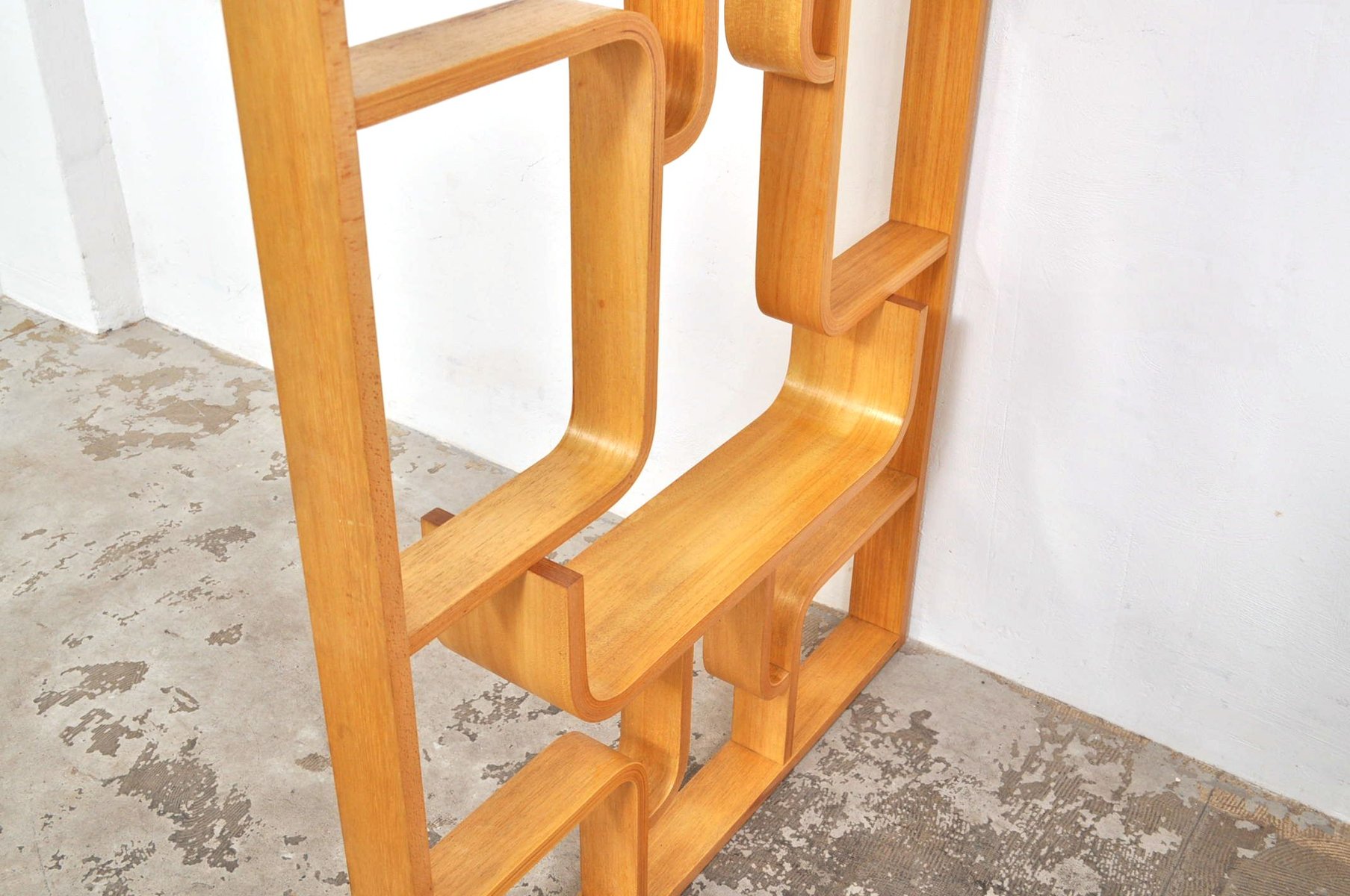 Vintage Room Divider by Ludvik Volak for Drevopodnik Holesov, 1950s for ...