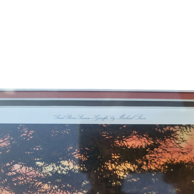 Michael Live, Giraffes, 1970s, Print, Framed for sale at Pamono