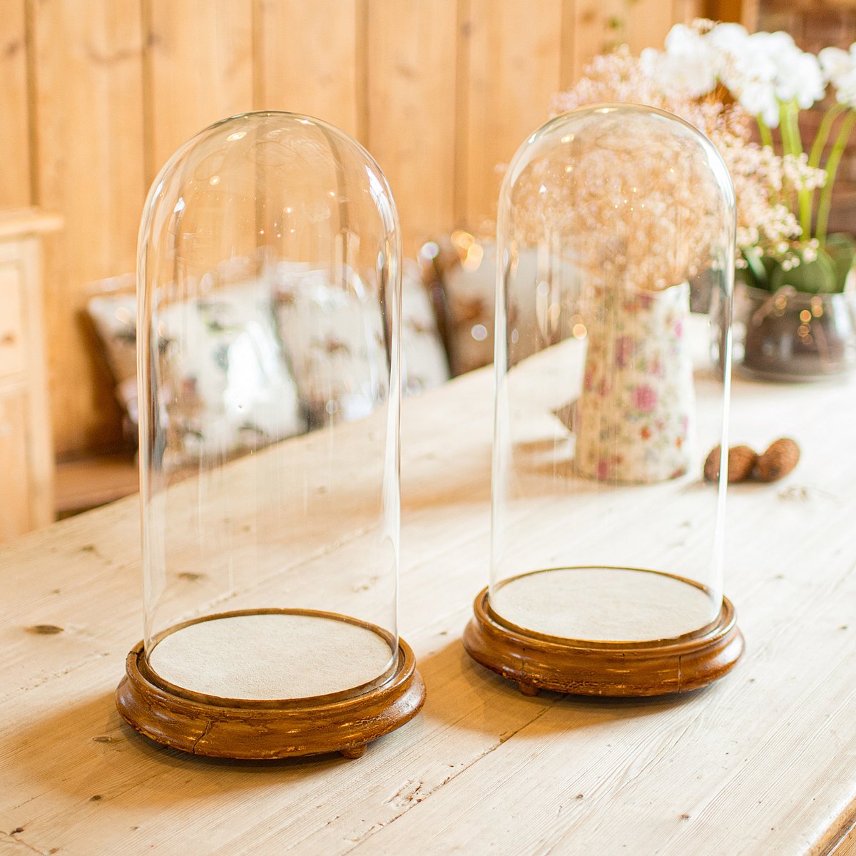Antique English Display Domes, Set of 2 for sale at Pamono