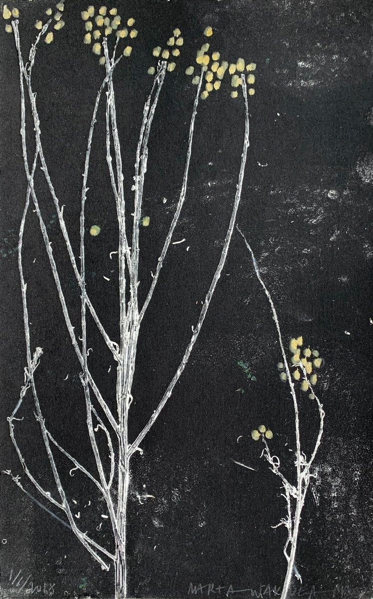 Marta Wakula, Flora, Monotype on Paper, 2018 for sale at Pamono