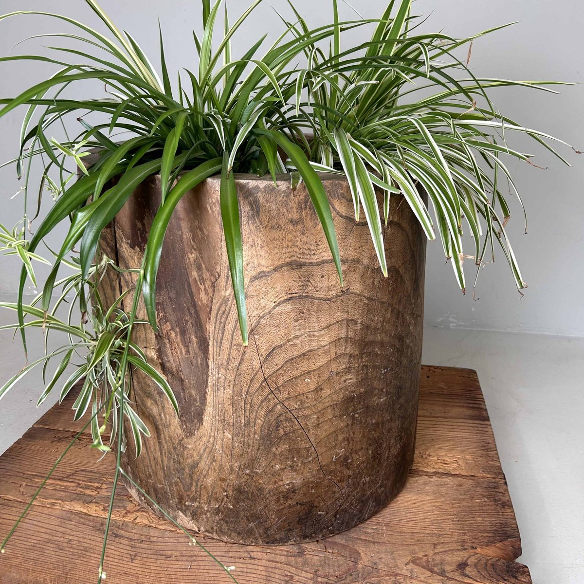 Late Meiji Period Japanese Mochi-Tsuki Usu Rice Mortar, 1890s for sale ...