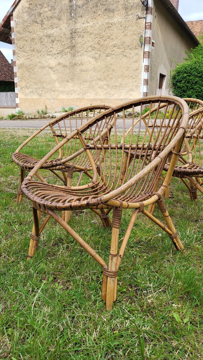 Shell Rattan Armchairs, 1960s, Set of 4 for sale at Pamono