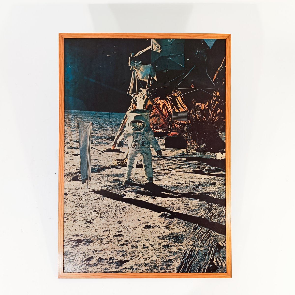Large High Resolution Print of Edwin Aldrin on the Moon, Switzerland ...