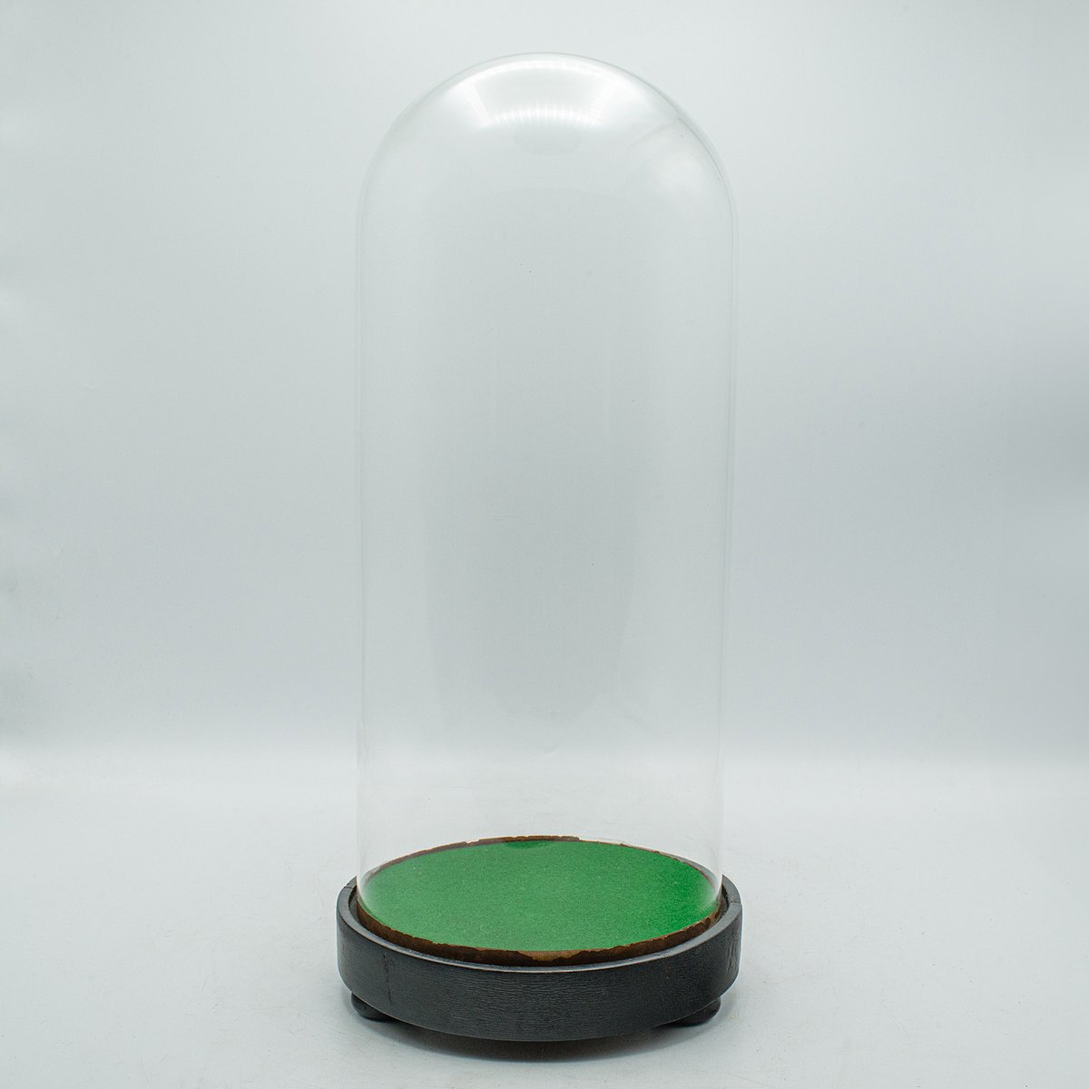 English Astrolabium Glass & Pine Clock Dome for sale at Pamono