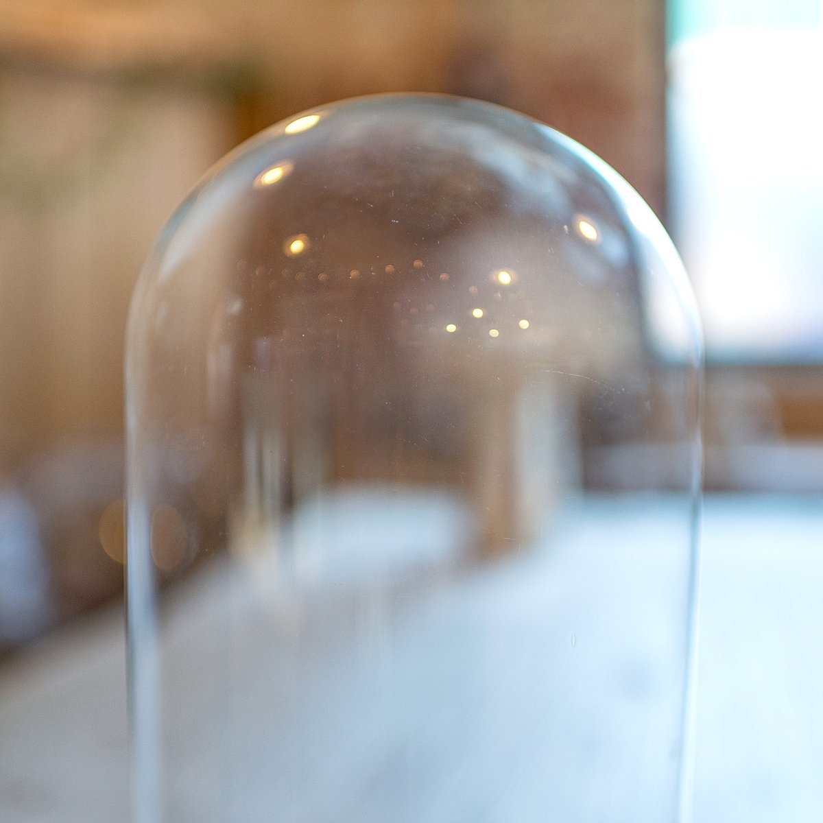 English Astrolabium Glass & Pine Clock Dome for sale at Pamono