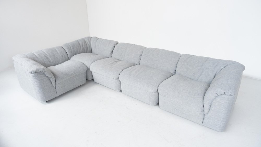 Mid-Century Modular Sofa by Tito Agnoli for Arflex, 1960s, Set of 5 for ...