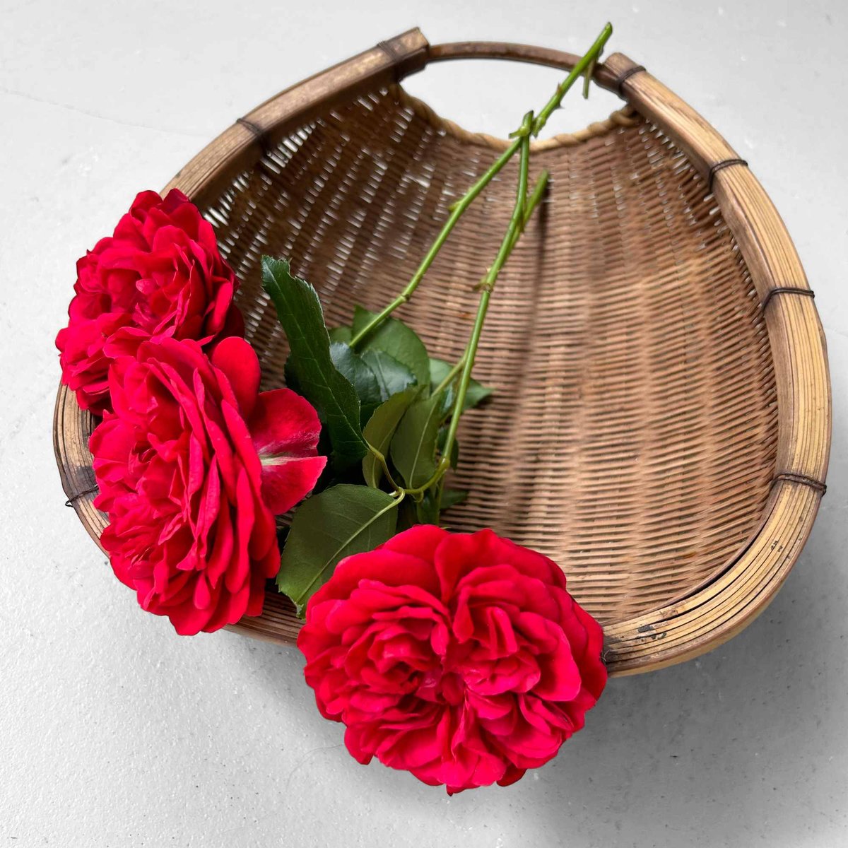 Japanese Kago Zaru Drying Basket in Bamboo, 1970s for sale at Pamono