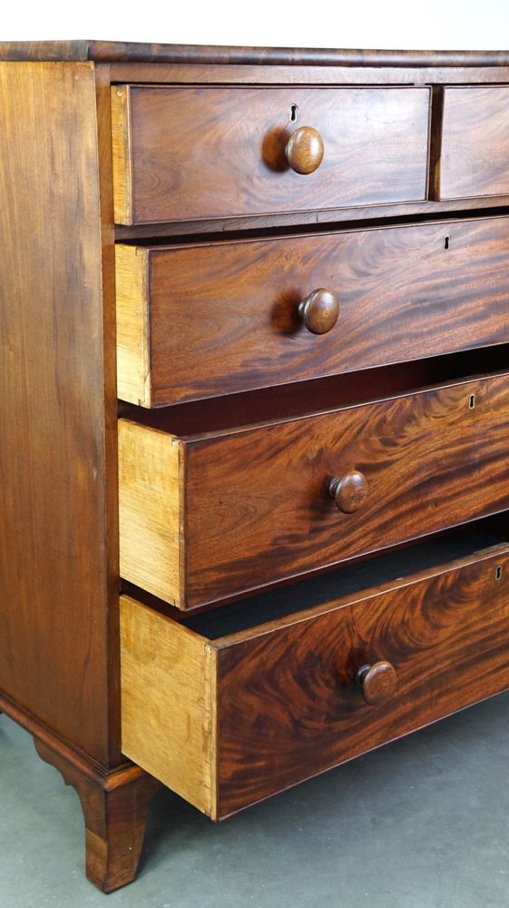 English Chest of Drawers with Colors and 5 Practical Drawers for sale ...