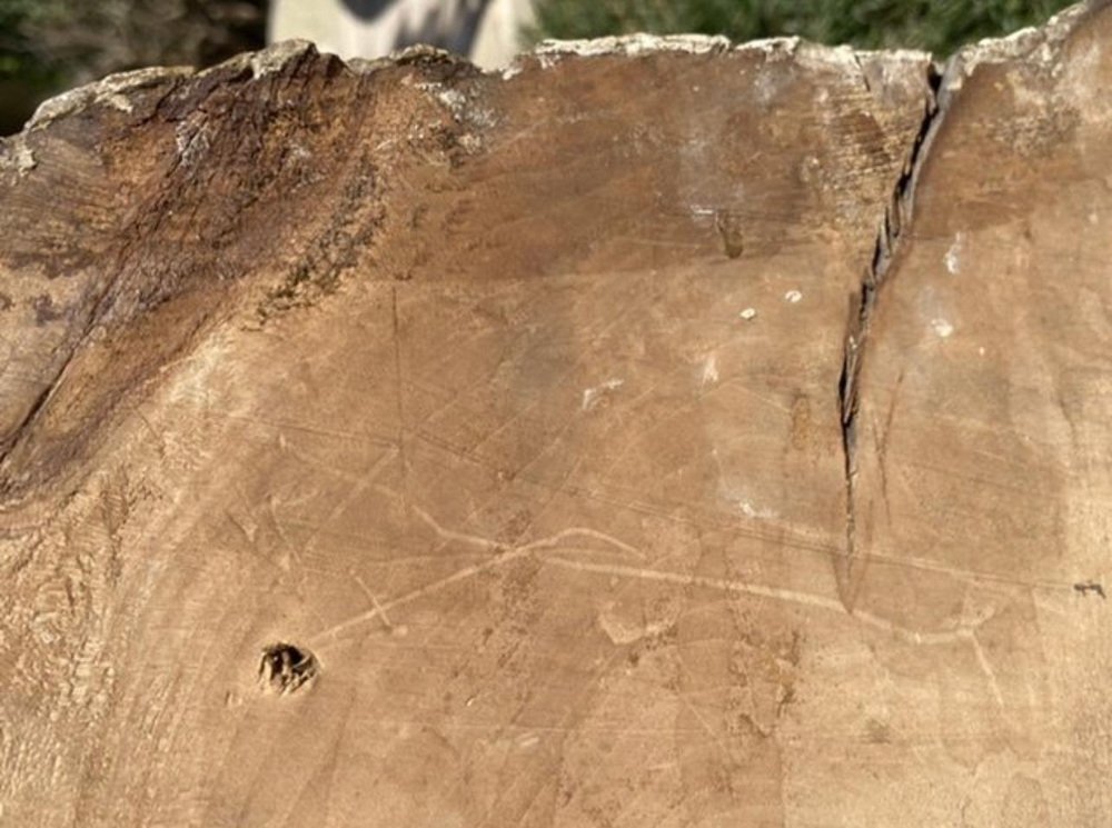 18th Century Sculpture of the Lamb Pascal and the Seven Seals for sale ...