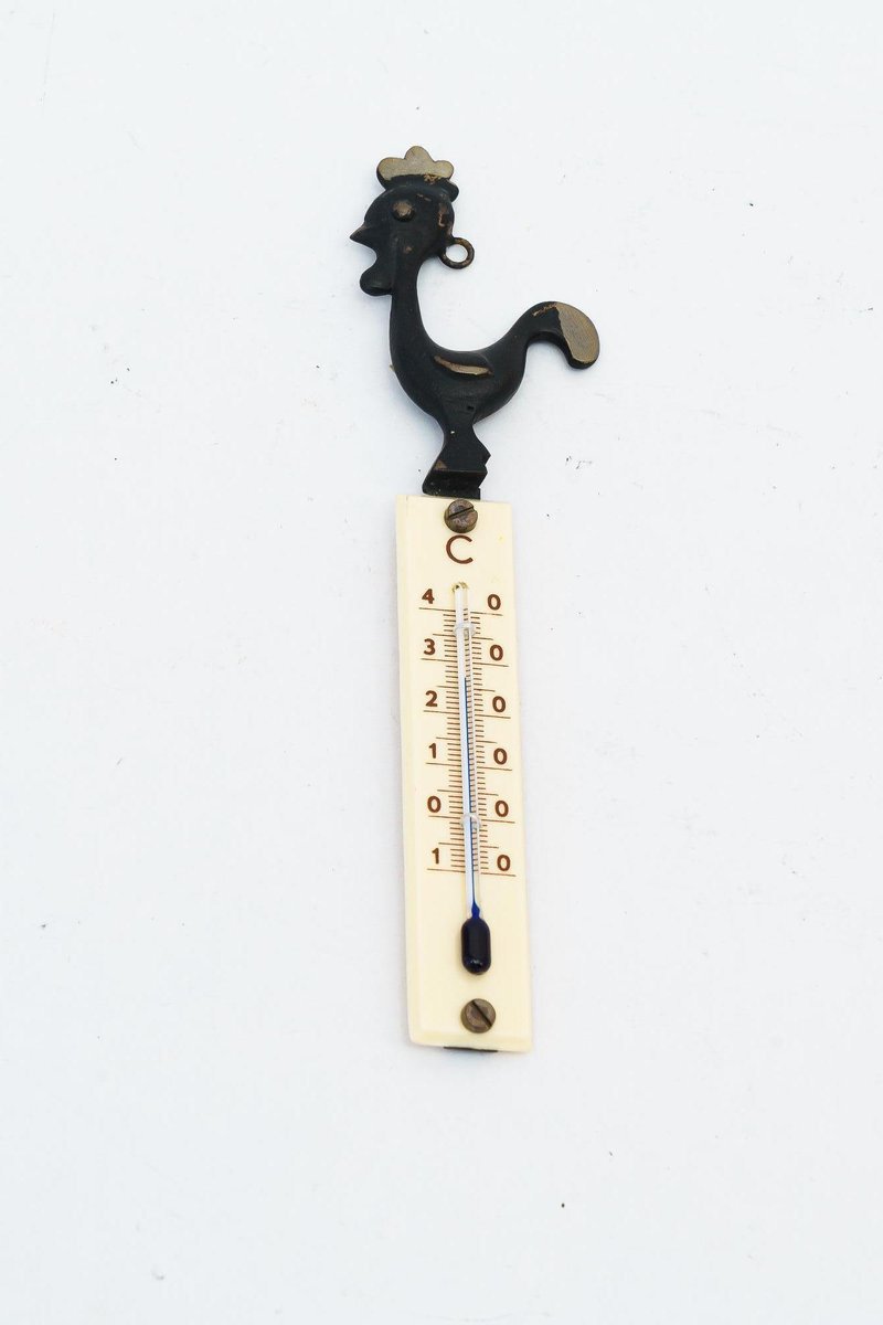 Vintage Wall Thermometer by Walter Bosse for Herta Baller, 1950s for ...