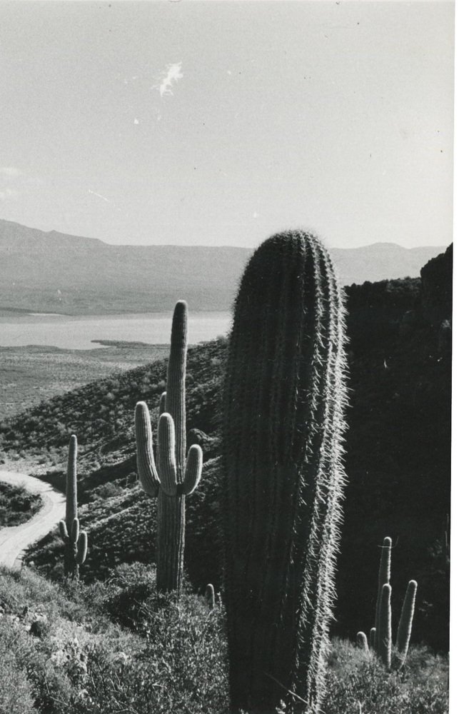Erich Andres, Mojave Desert, California, USA, 1960s, Silver Gelatin ...