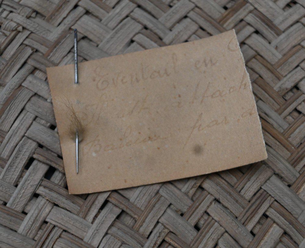 Antique Tonga Fan for sale at Pamono