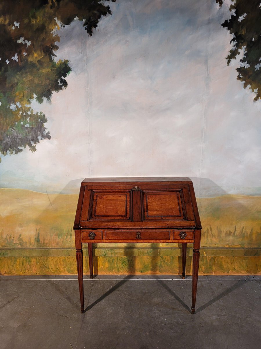 Louis XVI Sloping Desk for sale at Pamono