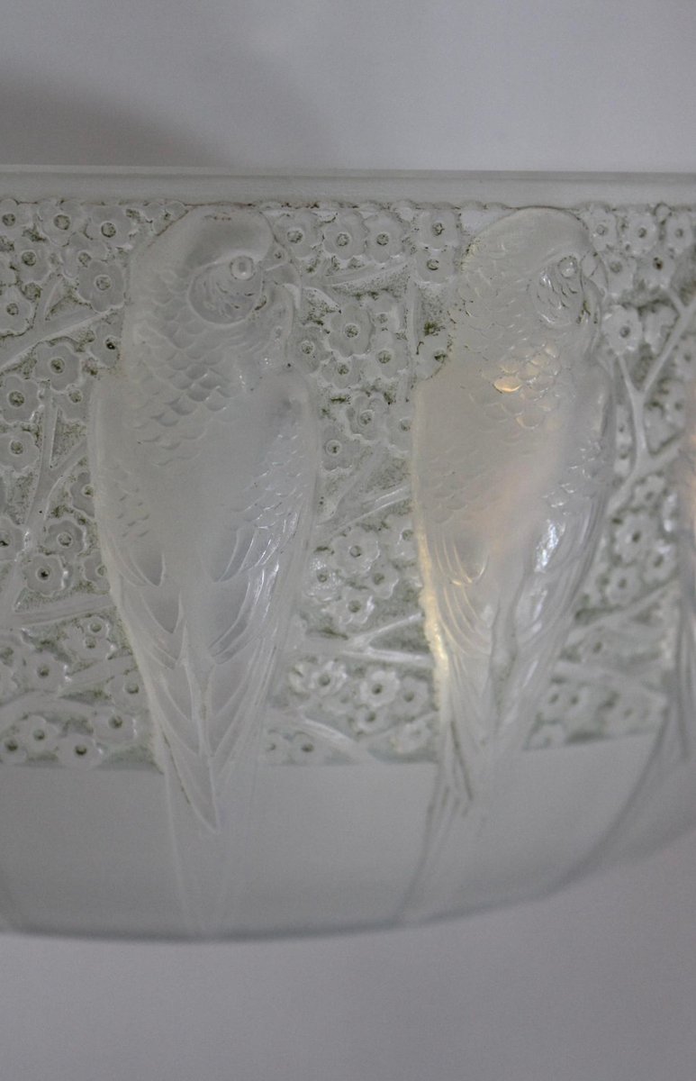 Opalescent Parakeets Bowl by René Lalique, 1931 for sale at Pamono